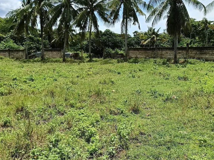 Newly open subdivision for sale [Lots 🚜] (September 2025) in Danao ...