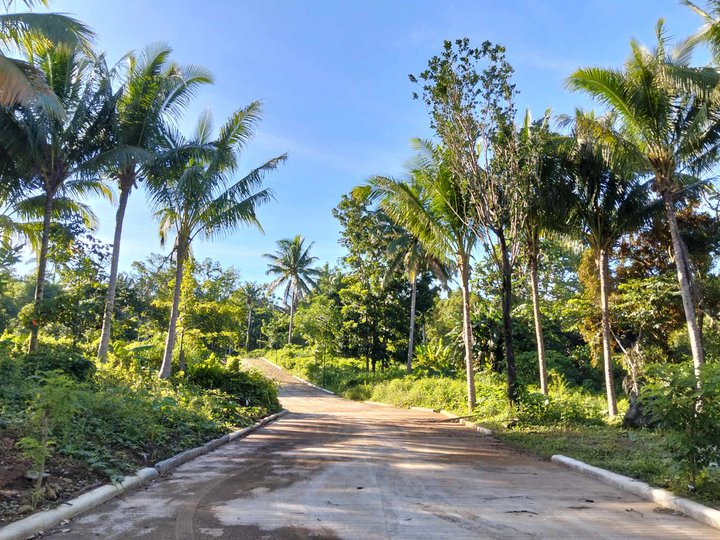 500 sqm Farm lot for sale in Alfonso, Cavite near Tagaytay with fruit bearing trees Good ...