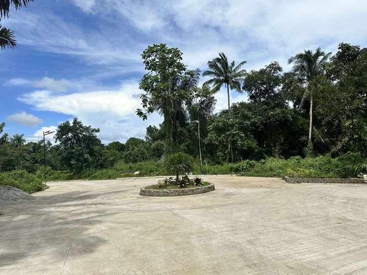 AFFORDABLE FARM LOT WITH FRUITS BEARING AND COLD WEATHER [Lots 🚜 ...