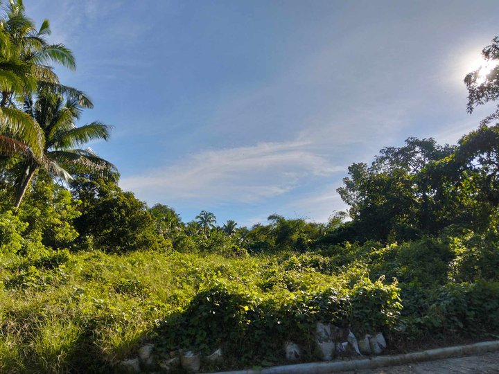 Farm lot for sale in Alfonso Cavite [Lots 🚜] (December 2025) in Alfonso ...