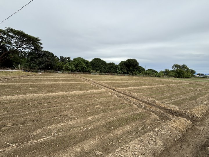 Private subdivided lot [Lots 🚜] (February 2026) in Talavera, Nueva ...