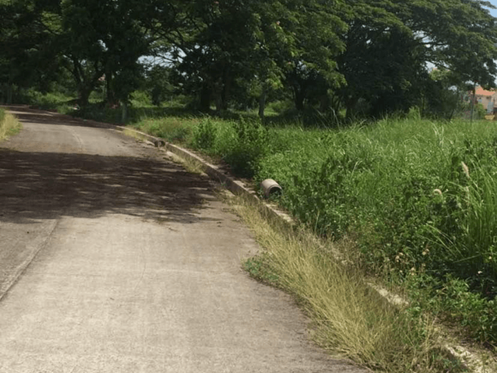 Two Adjacent Residential Lot 101 & 102 Square Meters Clean Title with ...