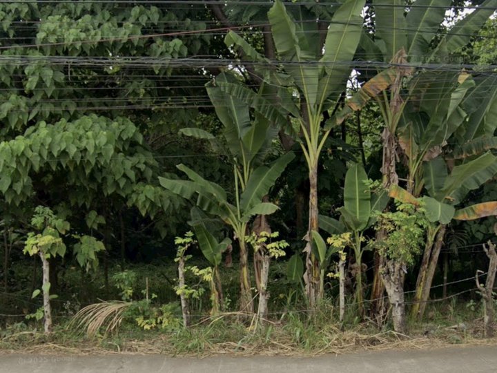 4.61 hectares Commercial Lot For Sale in Libby Road, Davao City [Lots 🚜 ...
