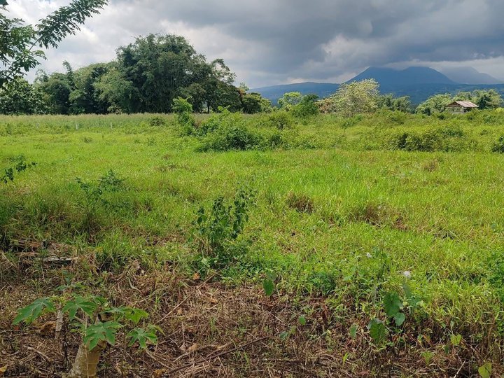 Affordable residential farm lots [Lots 🚜] (May 2026) in Claveria ...