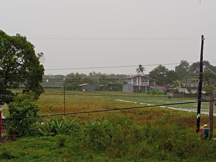 It is an agricultural land, besides the road. Located at Purok 5 ...