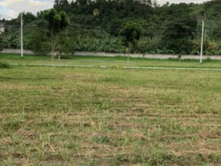 Subdivision lot for sale 300sqm.in Davao city [Lots 🚜] (August 2025) in ...