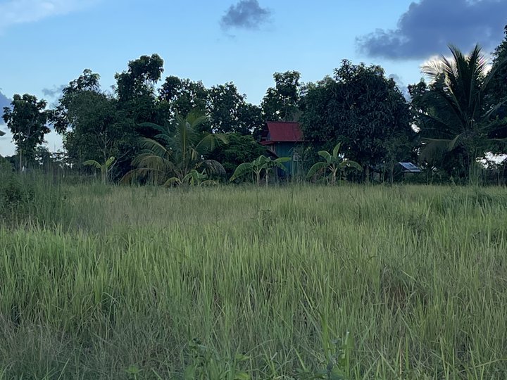 For sale: 6.9 Hectare Farm lot [Lots 🚜] (November 2025) in Aborlan ...