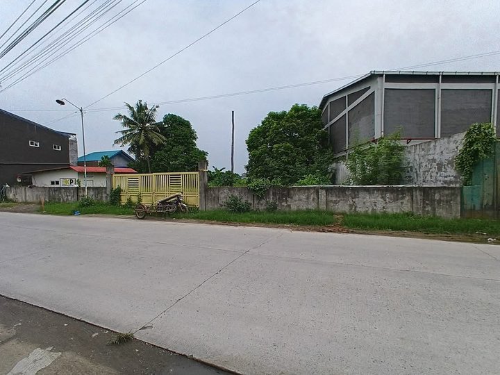 25 hectares Prime Industrial Lot For Sale in Pandi Bulacan for ...