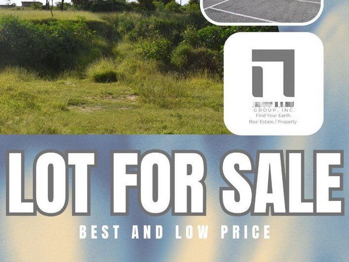 480 sqm Residential Lot For Sale in Multinational Village Paranaque ...