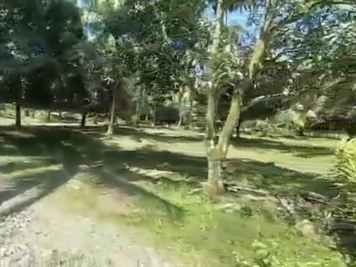 2.17 hectares Farm Lot For Sale in Sirawan Toril Davao City [Lots 🚜 ...