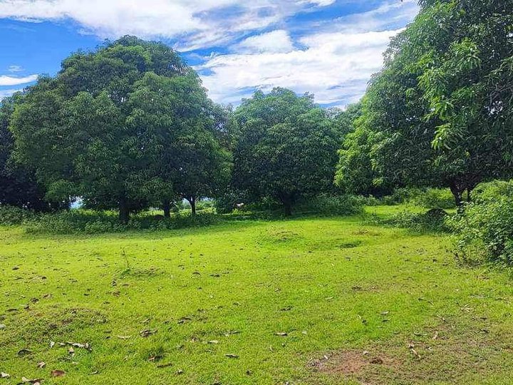 BEAUTIFUL FARM LOT FOR SALE - Talugtug Nueva Ecija, Philippines [Lot 🚜 ...