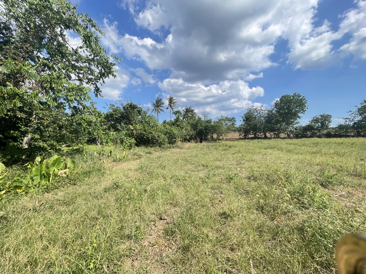 2514 lot for sale in Brgy Bunggo, Calamba , Laguna [Lots 🚜] (September ...