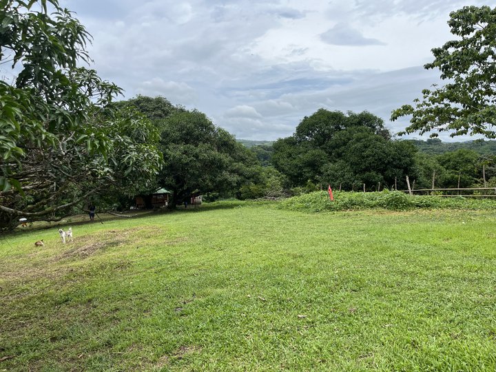 FARM LOT HULUGAN MAY MUHON NA PDE NA MAGAMIT AGAD [Lots 🚜] (October ...