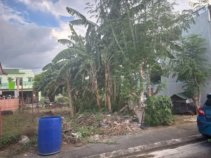 120 sqm Residential Lot For Sale [Lots 🚜] (May 2026) in Santa Rosa ...