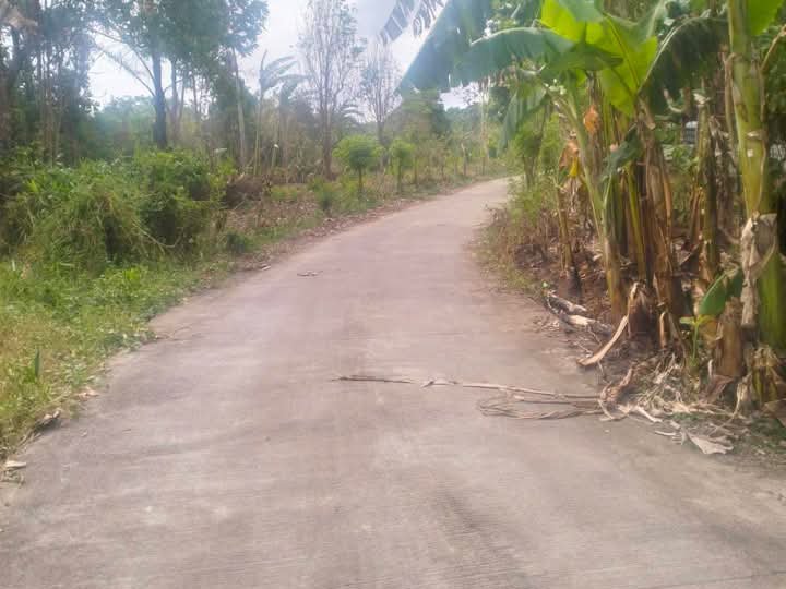 1,000 sqm Residential Farm For Sale alfonso cavite [Lots 🚜] (June 2025) in Alfonso, Cavite for sale