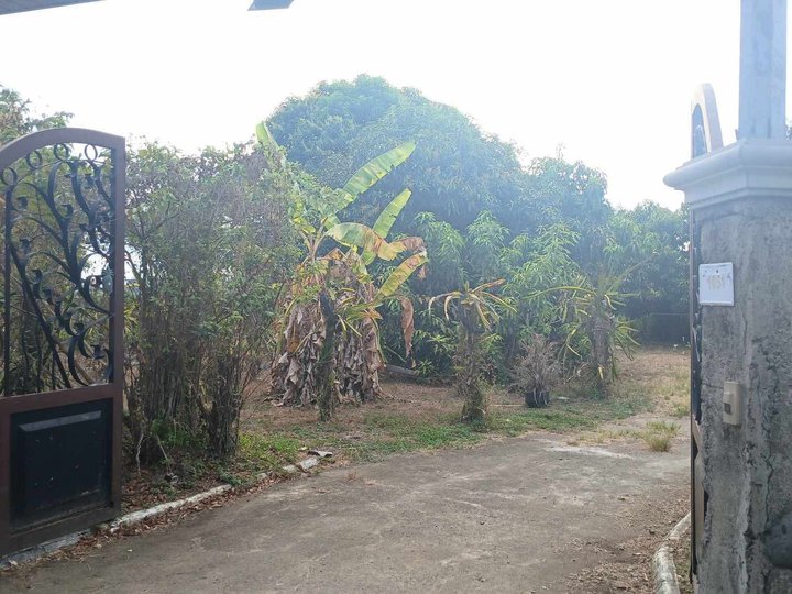 300 sqm Residential Farm For Sale bustos bulacan [Lots 🚜] (April 2026 ...