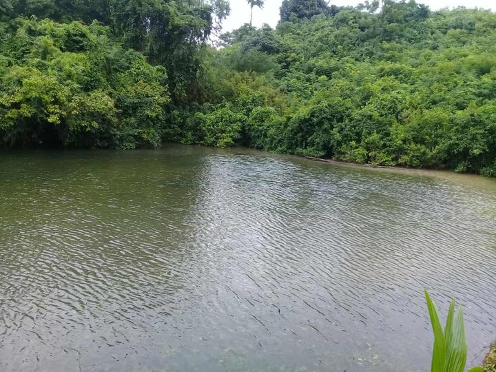 Private lot..lot area 6413 sqm. [Beach Properties 🏖️] (September 2025 ...