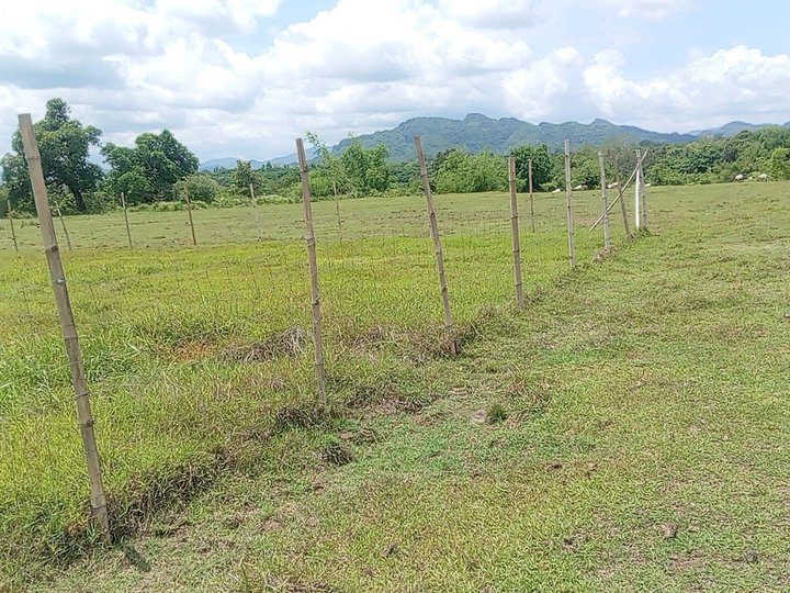 370 sqm Residential Farm For Sale in San Miguel Bulacan [Lots 🚜] (April ...