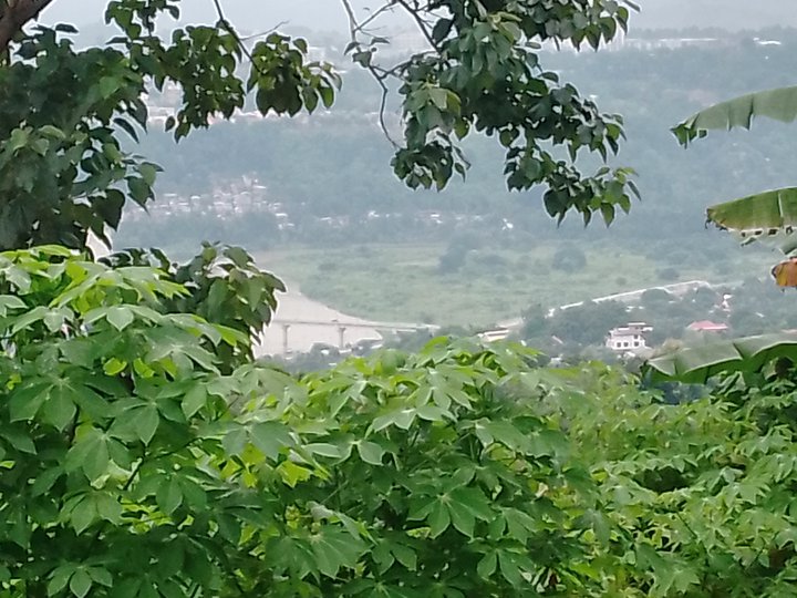 443 overlooking property lot for sale indahag Cagayan de Oro city [Lots ...