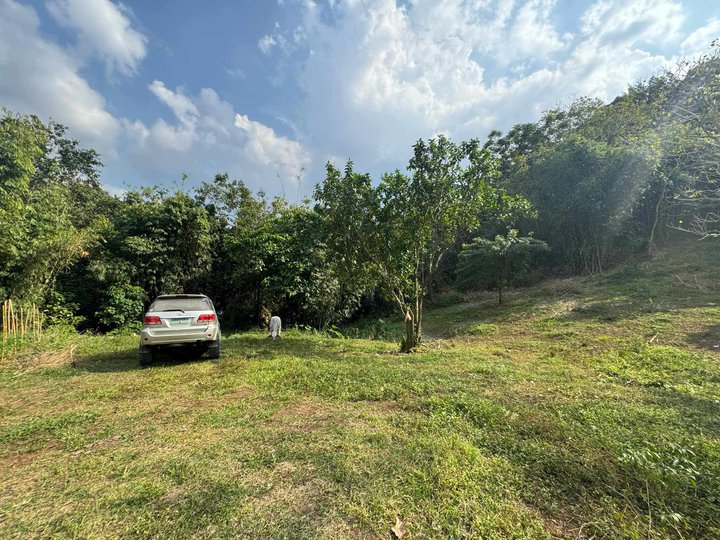 Farm lot for sale, beside the road [Lots 🚜] (April 2026) in Doña ...