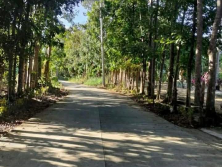 Residential Farm with Fruit Bearing Trees and 600+ Mahogany Trees for ...
