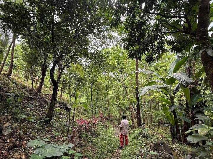 1.93 hectares Farm Lot For Sale in Tanay Rizal [Lots 🚜] (November 2025 ...