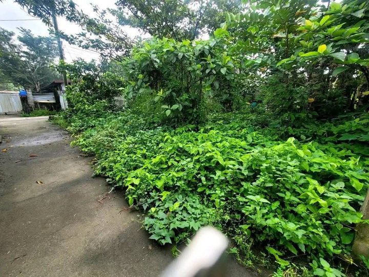 149 sqm Residential Farm For Sale in Malolos Bulacan [Lots 🚜] (March ...
