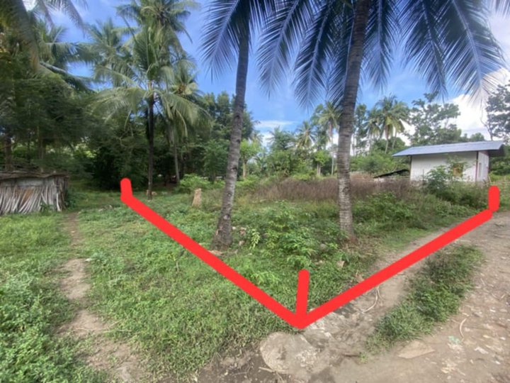 Residential Titled lot [Lots 🚜] (October 2025) in Cagayan de Oro ...