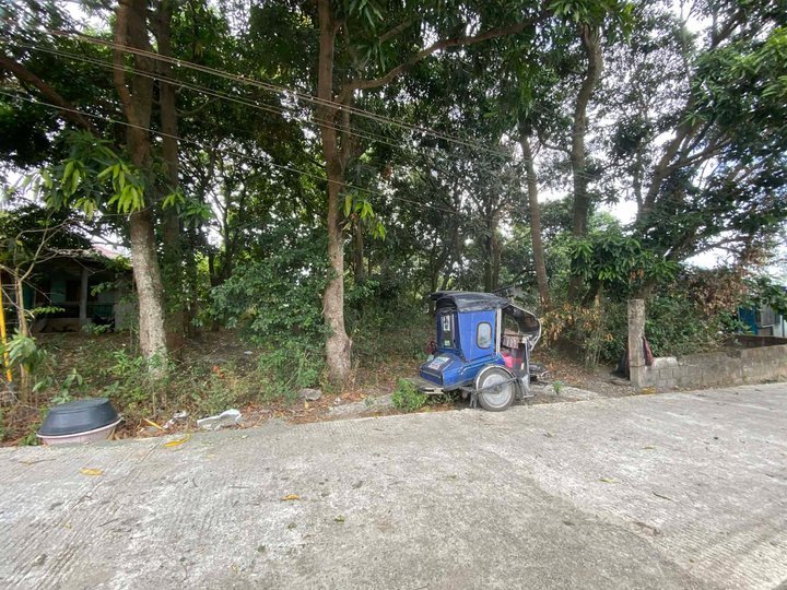 590 sqm Residential Farm For Sale in San Rafael Bulacan [Lots 🚜] (May ...