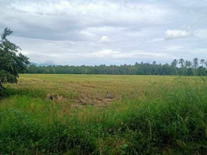 10.05 hectares agricultural land for sale in Bansalan Davao Del sur ...
