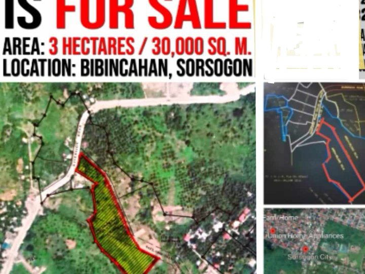 Its a Mother Title Properties owned by my family its flat and Adjacent ...