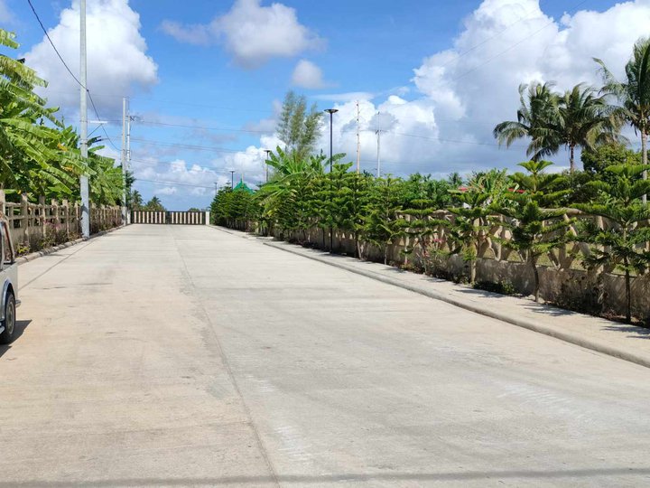 Farm Lot For Sale in Alfonso Cavite near Splendido Tagaytay with cold weather perfect for ...