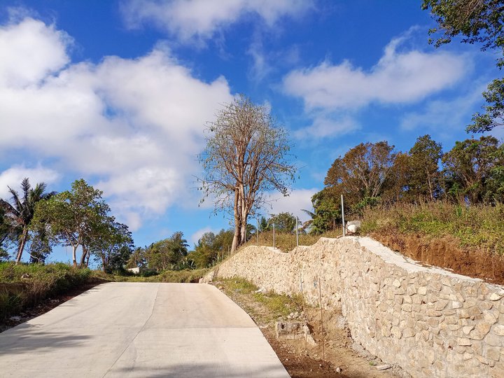 Residential farm lot for sale with beautiful environment. [Lots 🚜 ...