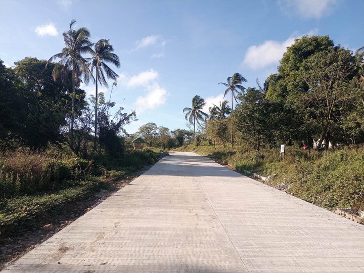 Residential Farm Lot for sale in Cavite near Tagaytay [Lots 🚜] (June 2025) in Alfonso, Cavite ...