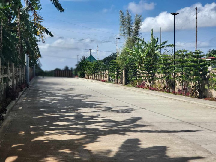 Residential Farm lot for sale in Cavite [Lots 🚜] (July 2025) in Alfonso, Cavite for sale