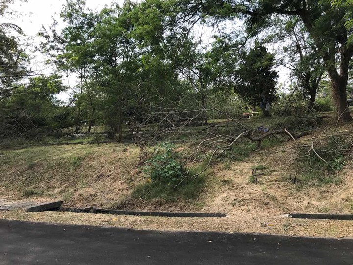 666 sqm Residential Farm For Sale in Ivana Batanes [Lots 🚜] (January ...