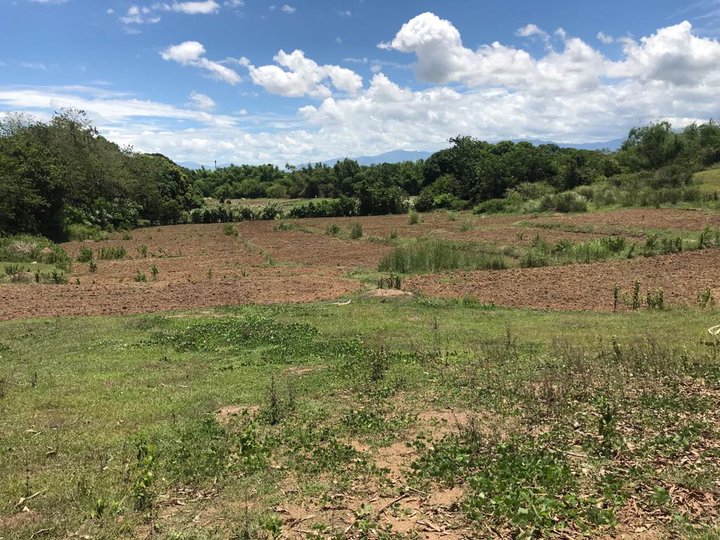 Columbarium For Sale in Ivana Batanes [Lots 🚜] (November 2025) in Ivana ...
