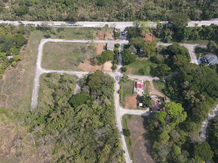 317sqm Wide Residential Lot For Sale in The Grove Forest Farms at ...