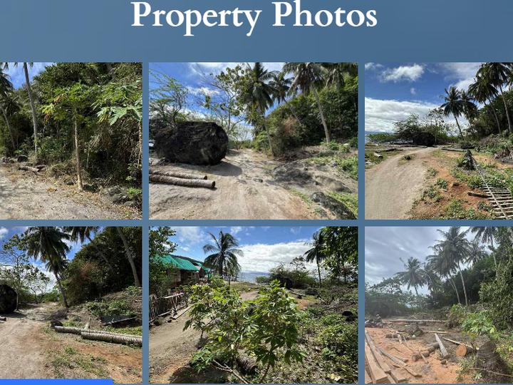 For Sale BEACH FRONT Masasa beach, Tingloy Batangas [Beach Properties 🏖 ...