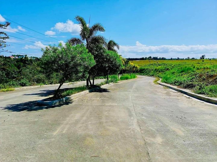 Inner 179 sqm Lot of Mesilo Nueva Vida by Sta Lucia Group of Companies ...