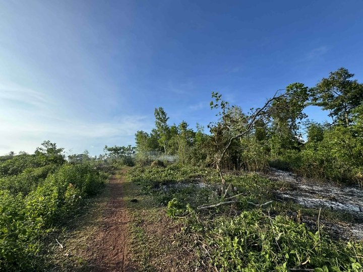 180k Newly open lot in ravina jordan guimaras [Lots 🚜] (January 2026 ...