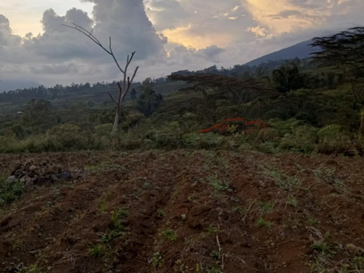 3.5 Hectares Farm Lot For Sale in Lantapan Bukidnon [Lots 🚜] (October ...