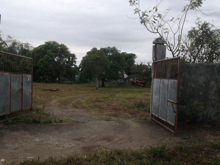 50,000 square meter farm lot converted to residential already. [Lots 🚜 ...