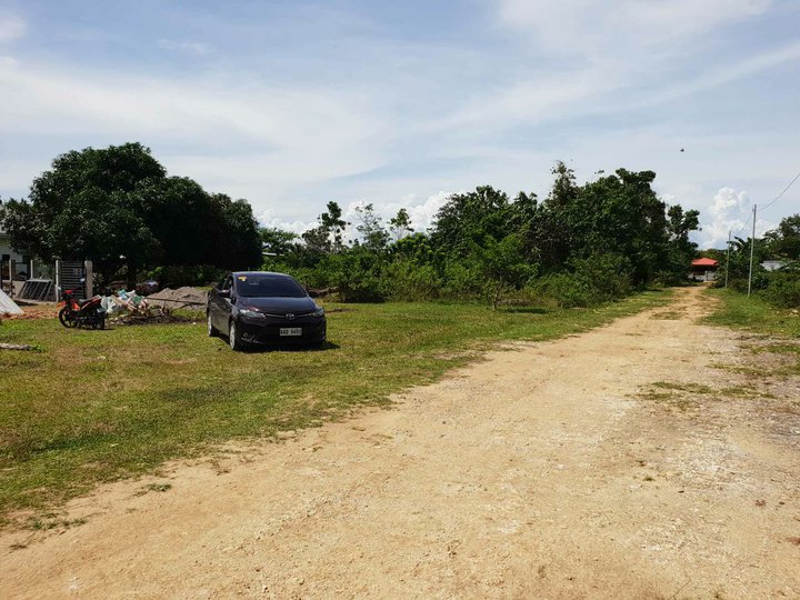 500 sqm Residential Lot For Sale in Dauis Bohol [Lots 🚜] (October 2025 ...