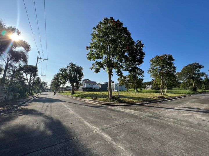 Enjoy 150 sqm Morningfields At Carmeltown by Sta Lucia Group of ...