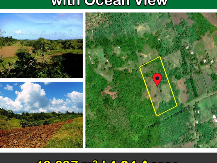 19,997 sqm Superior Leisure Farm with Ocean View [Lots 🚜] (August 2025 ...