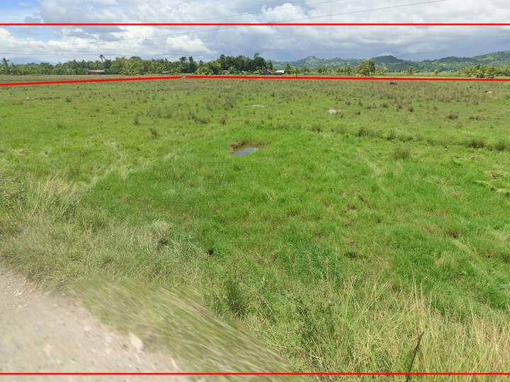 Residential Farm For Sale Calubang - Ilog Negros Occidental [Lots 🚜 ...