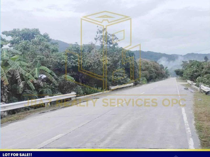 Prime Lot, Along the Main Road [Lots 🚜] (March 2026) in Puerto Princesa ...