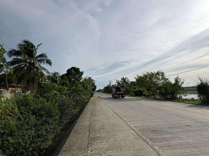 Lot for sale in San Miguel Iloilo100sqm min. cut [Lots 🚜] (April 2026 ...
