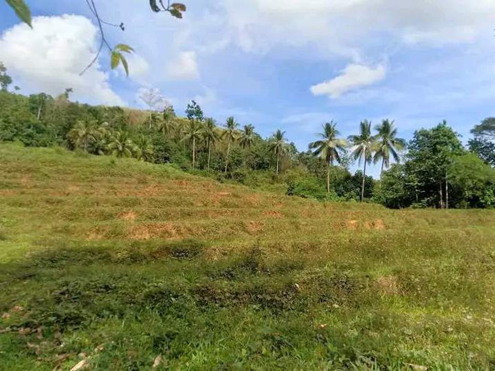 Agricultural land,, 8.1 hectares [Lots 🚜] (September 2025) in Bayawan ...